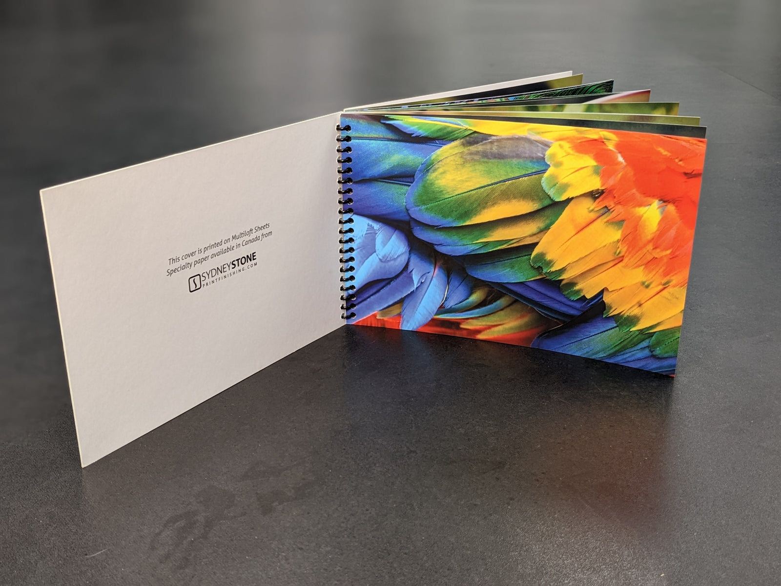 Sydney Stone Laminate Swatch Book